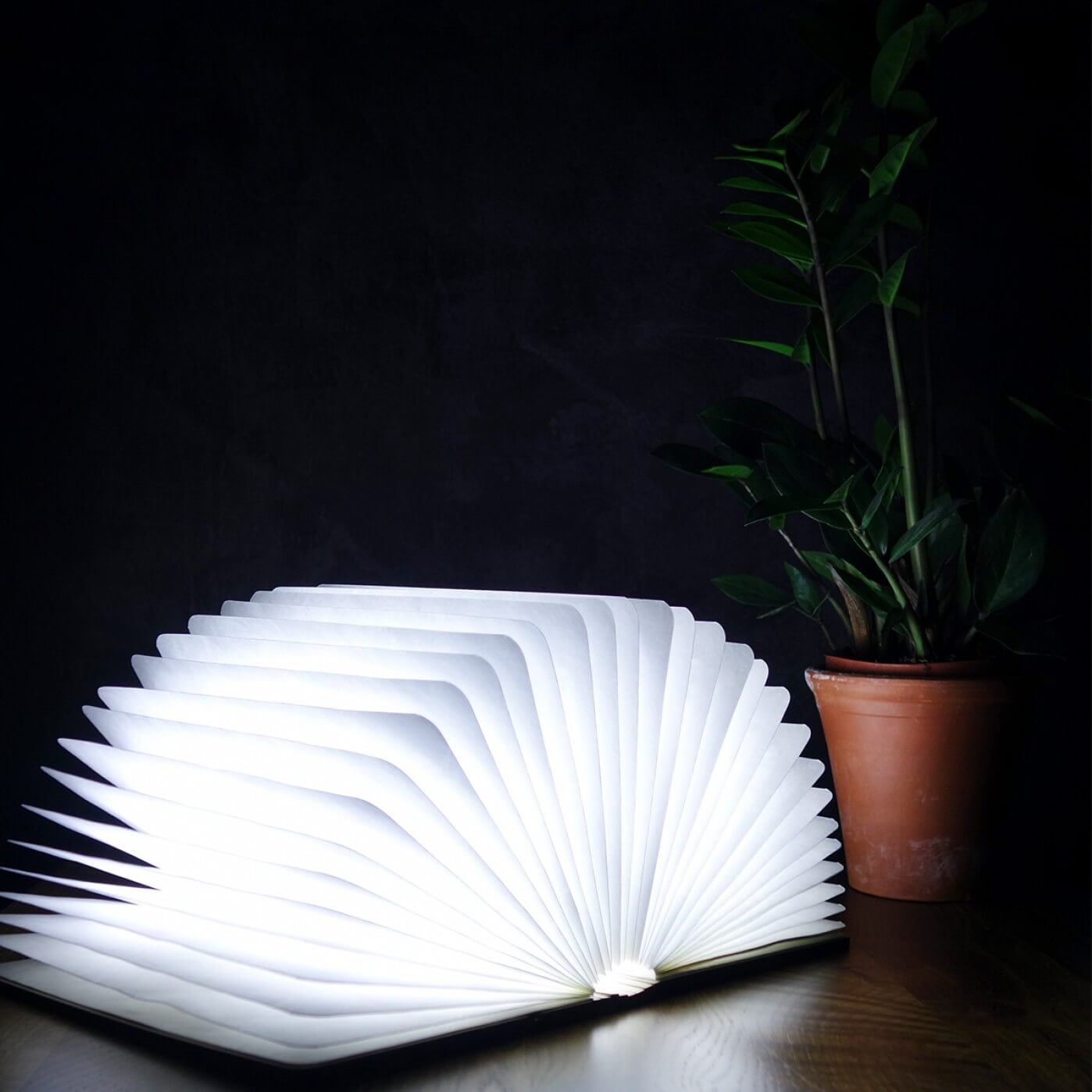 Walnut LED Smart BookLight - Collective Home Store